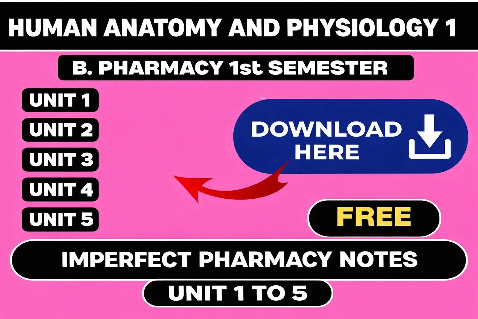 Human Anatomy And Physiology 1 | B Pharmacy 1st Semester Imperfect ...